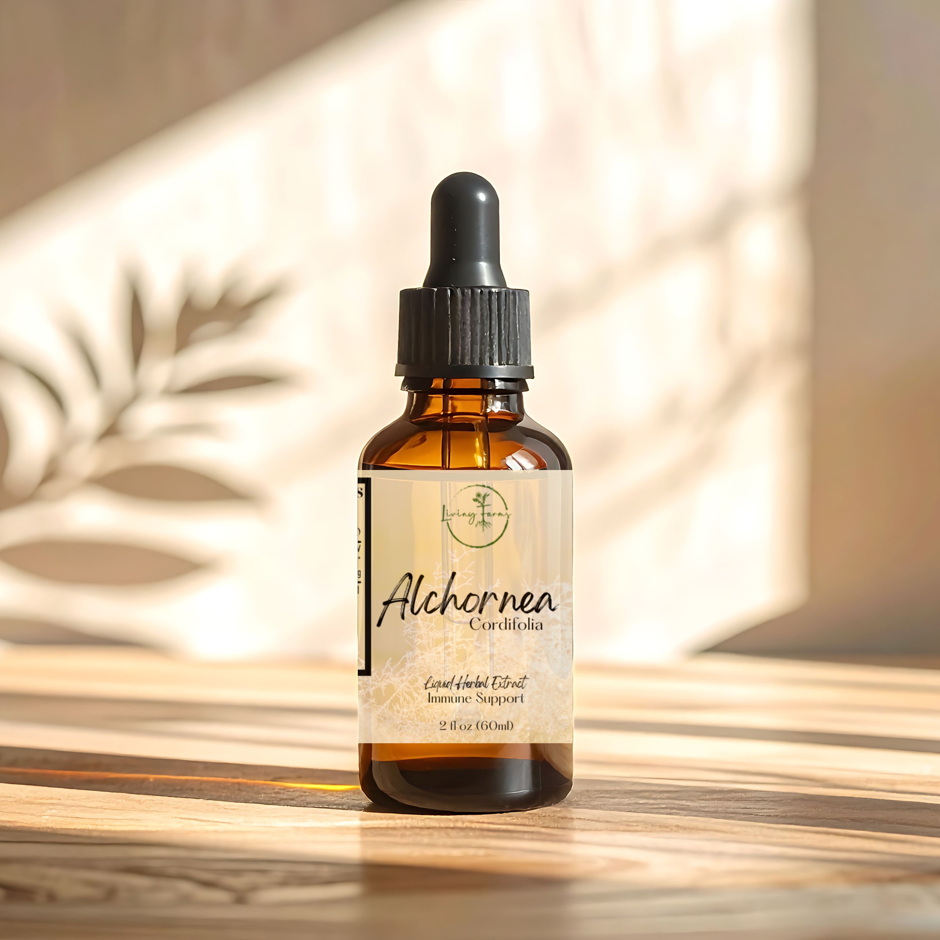 Alchornea Cordifolia Tincture - Living Farms