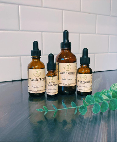 Gentian, Ginger , & Anise Tincture - Living Farms
