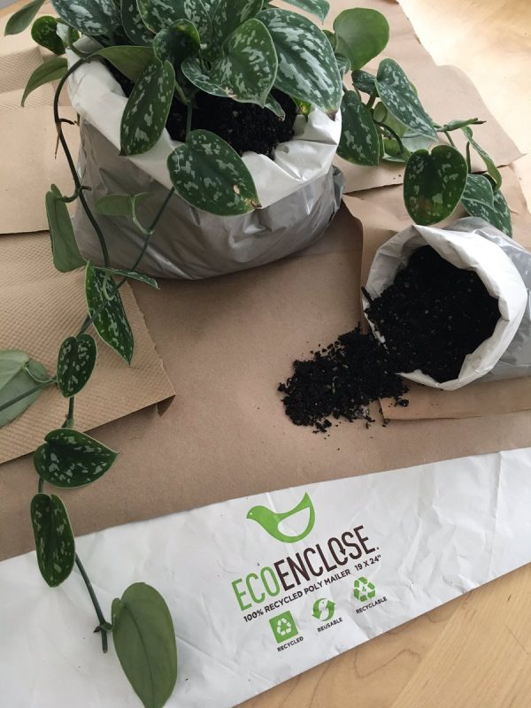 Eco Packaging Deserves Great Eco Branding: A Quick Guide - EcoEnclose