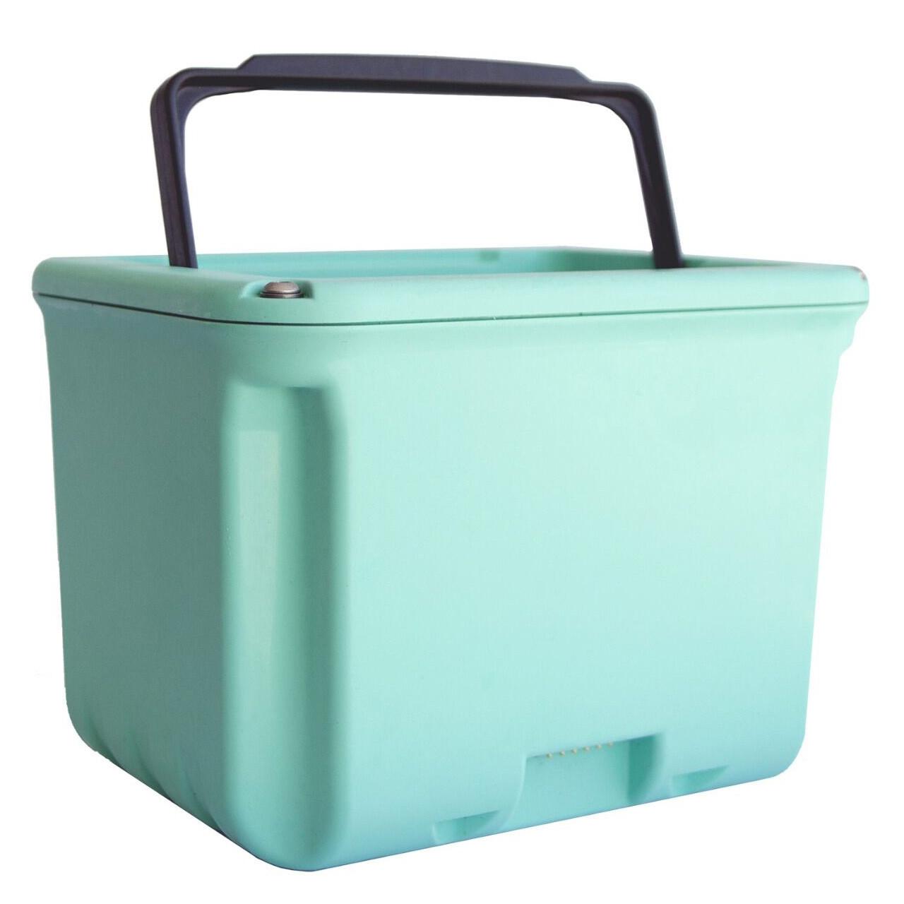 Delta ICE 2L Smart Blood Cooler