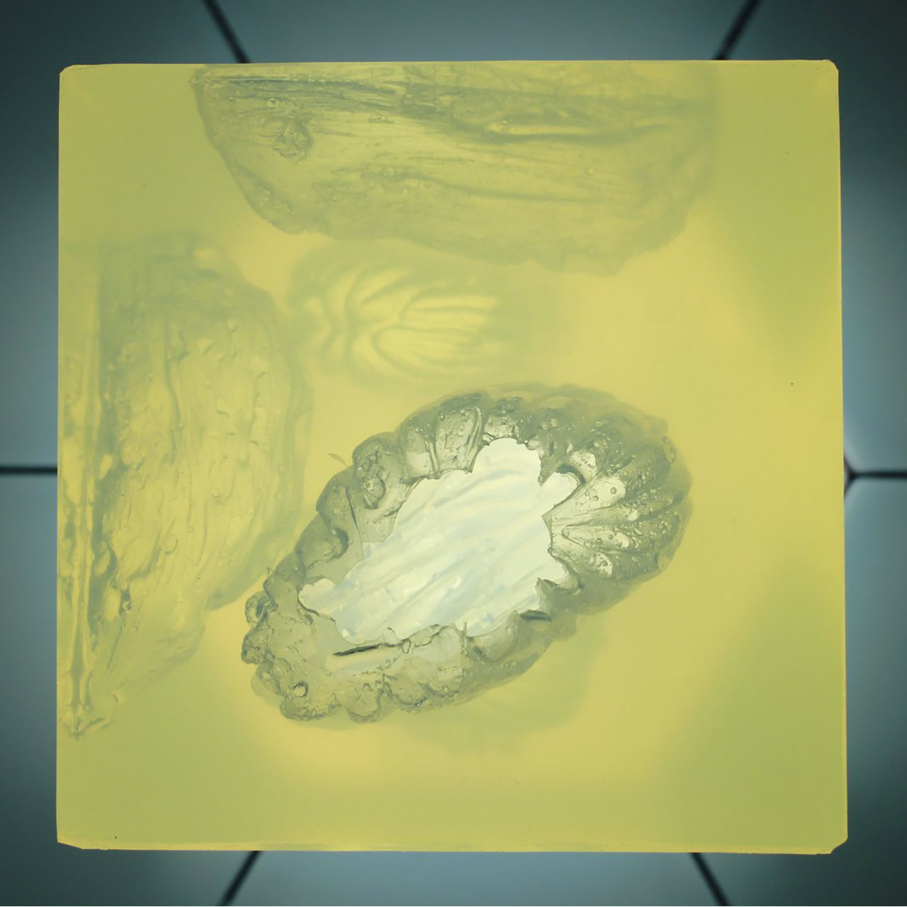 Wound Cube by Phokus