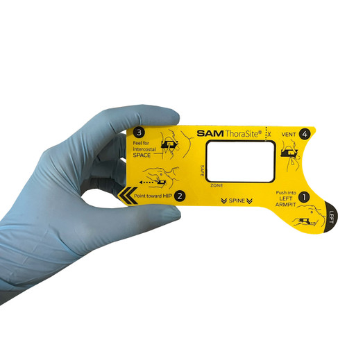 ThoraSite Anatomical Landmark Guide