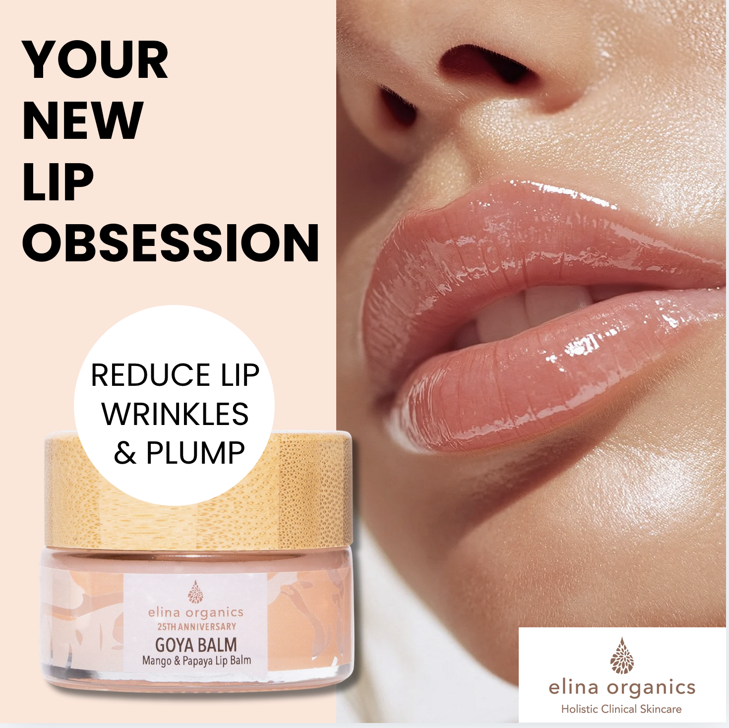 Elina Organics Herbal Skin Care Products Store