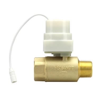 Floodstop FSAV34NPT, 20084, Valve Only 3/4" NPT, Water Heater