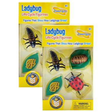 INSECT LORE Insect Lore Ladybug Life Cycle Stages, 4 Per Set, 2 Sets
