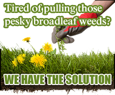 Grounds - Weed Killers & Herbicides - Interstate Products Inc