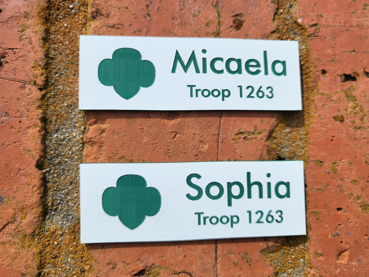 Girl Scout Name Tags, Troop Leader Name Badges, Employee Name Tags
