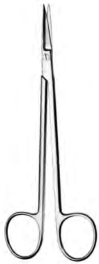 Spectrum Kelly Scissor, 6.25" (16cm), Straight | SAH.50-1881