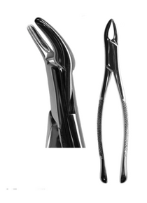 Spectrum Dental Forceps, #151 Cryer, Lower | SAH.1198