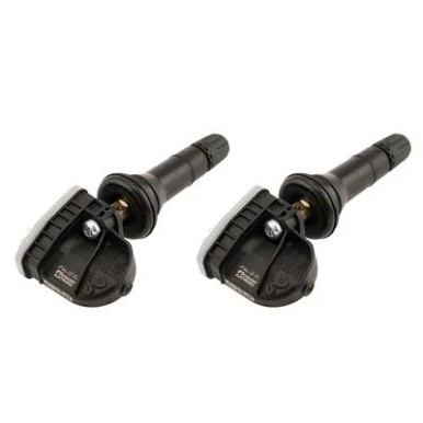 ARB 819106 TPMS Internal 2 Sensor System