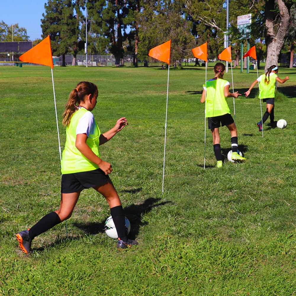 Shop Soccer Training Agility Poles | Sator Soccer