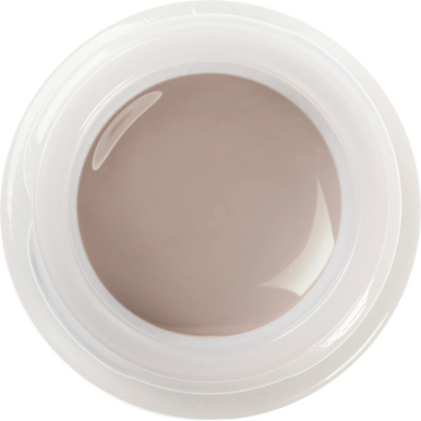 GC Initial™ IQ Lustre Pastes ONE Tin 4 g Paste enamel effect shade 10 ...