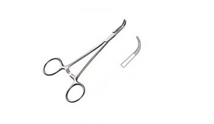 Forcep - Dissecting Angled Right 20cm - ZebraVet