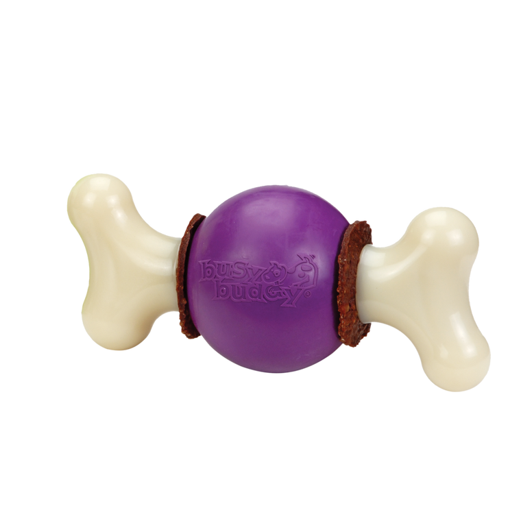 PetSafe® Busy Buddy® Bouncy Bone, Medium - ZebraVet