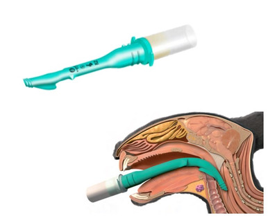 Rabbit v-gel® Supraglottic Airway Device - ZebraVet