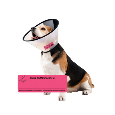 Labels - Cone Removal Date