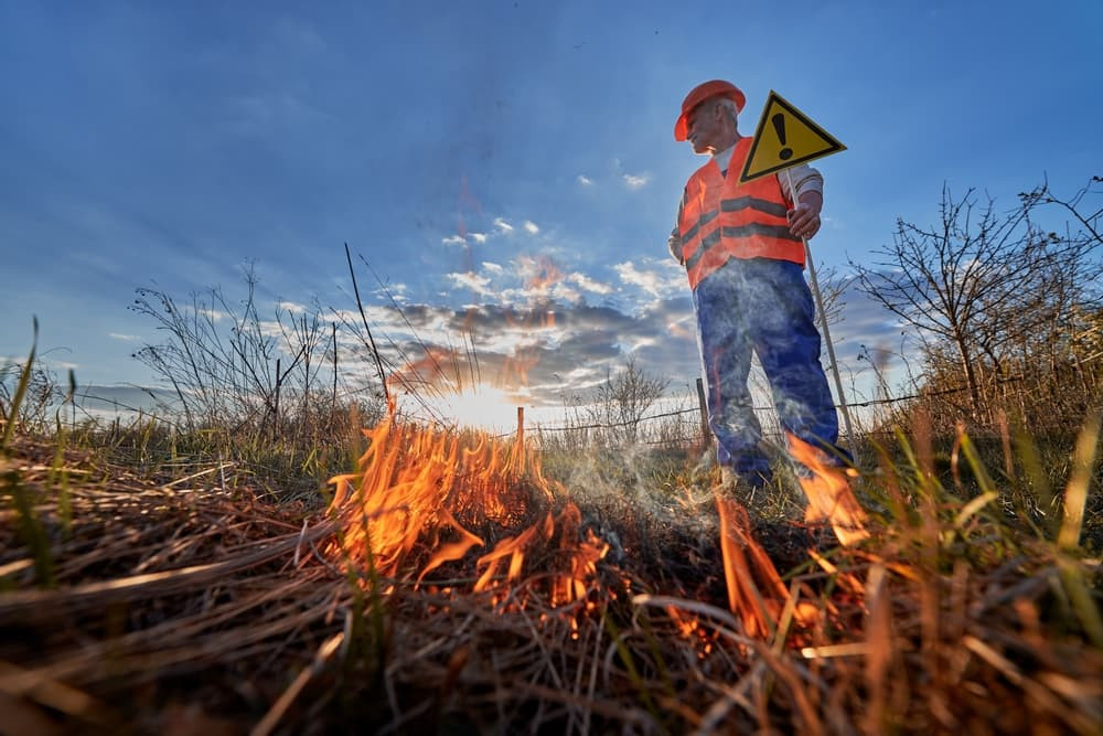 Complete Guide to Fire Retardants: Facts and Applications - Fire ...