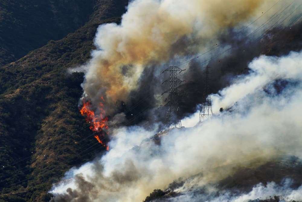 Protecting Your Home at the Wildland Urban Interface: Essential Tips ...