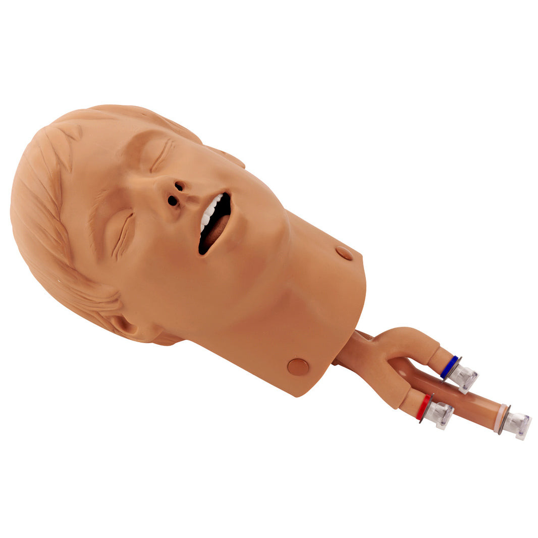 Intubation Head For Adult Als/Bls Trainers, 101-082 - Medex Supply