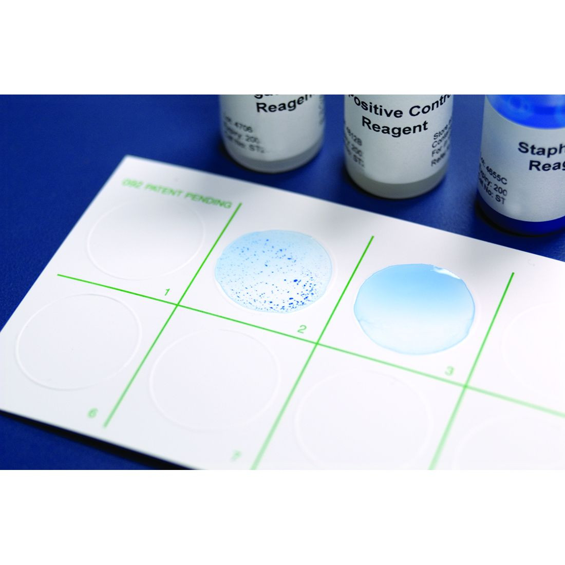 StaphTEX Blue Kit, a Rapid Latex Agglutination Test for Staphylococcus ...