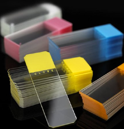 Microscope Slides, 25 x 75mm, 45? Beveled Edges, YELLOW Frosted - Medex ...
