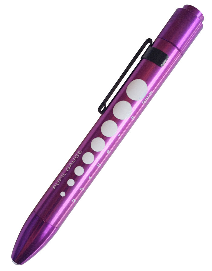 Prestige Medical Pupil Gauge LED Penlight, Push Button activated, 1 AAA ...