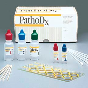 Remel PathoDx Strep A Hospital Latex Test Kit, 140 Tests - Medex Supply