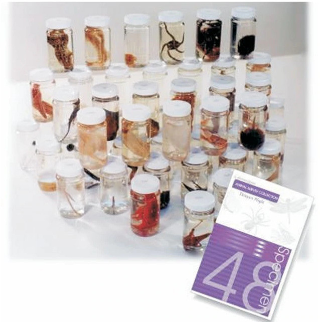 Animal Survey Collections - 48 Specimens - Medex Supply