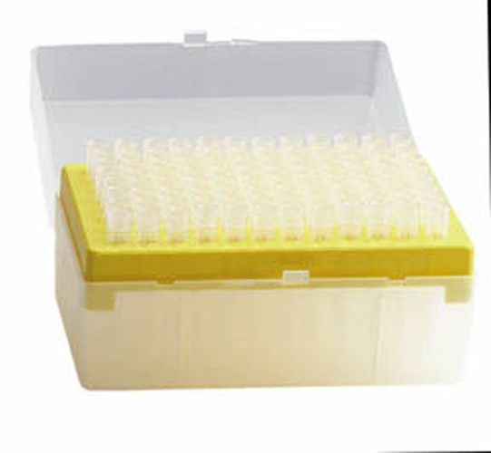 Thermo Scientific Finntip Filtered Pipet Tips, 0.5 to 200uL, 2", 960/cs ...