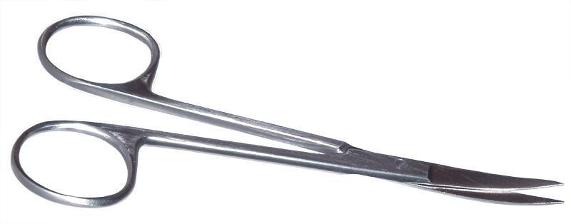 Rumex Knapp Curved Strabismus Scissors, Ring Handle, Length 115 mm ...