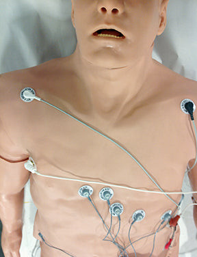 Zoll 12-Lead Arrhythmia Simulator With Manikin Overlay, Large, 101-12 ...
