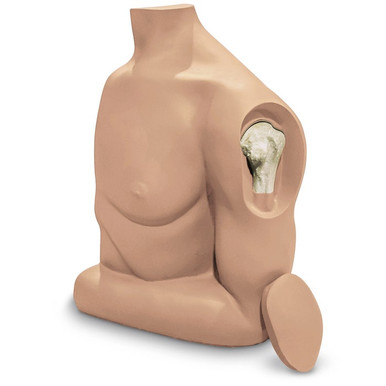 Humerus Intraosseous (IO) Trainer, 101-205 - Medex Supply