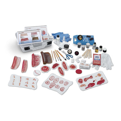 Life/Form Advanced Nursing Wound Simulation Kit, LF00794 - Medex Supply