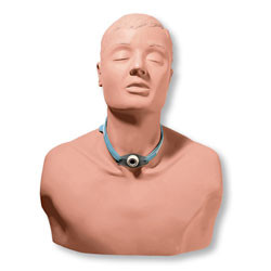 Nasco Life/form Adult Patient Education Tracheostomy Care Manikin ...