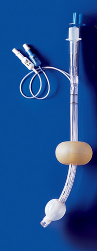 Puritan Combitube Roll-Up Kit, 37Fr - Medex Supply