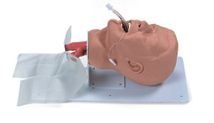 Simulaids Economy Adult Airway Management Trainer - Medex Supply