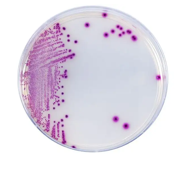 HardyCHROM UTI, Chromogenic Medium 10/Pack - Medex Supply