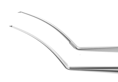 Rumex Disposable Utrata Capsulorhexis Forceps, Cystotome Tips, Curved ...