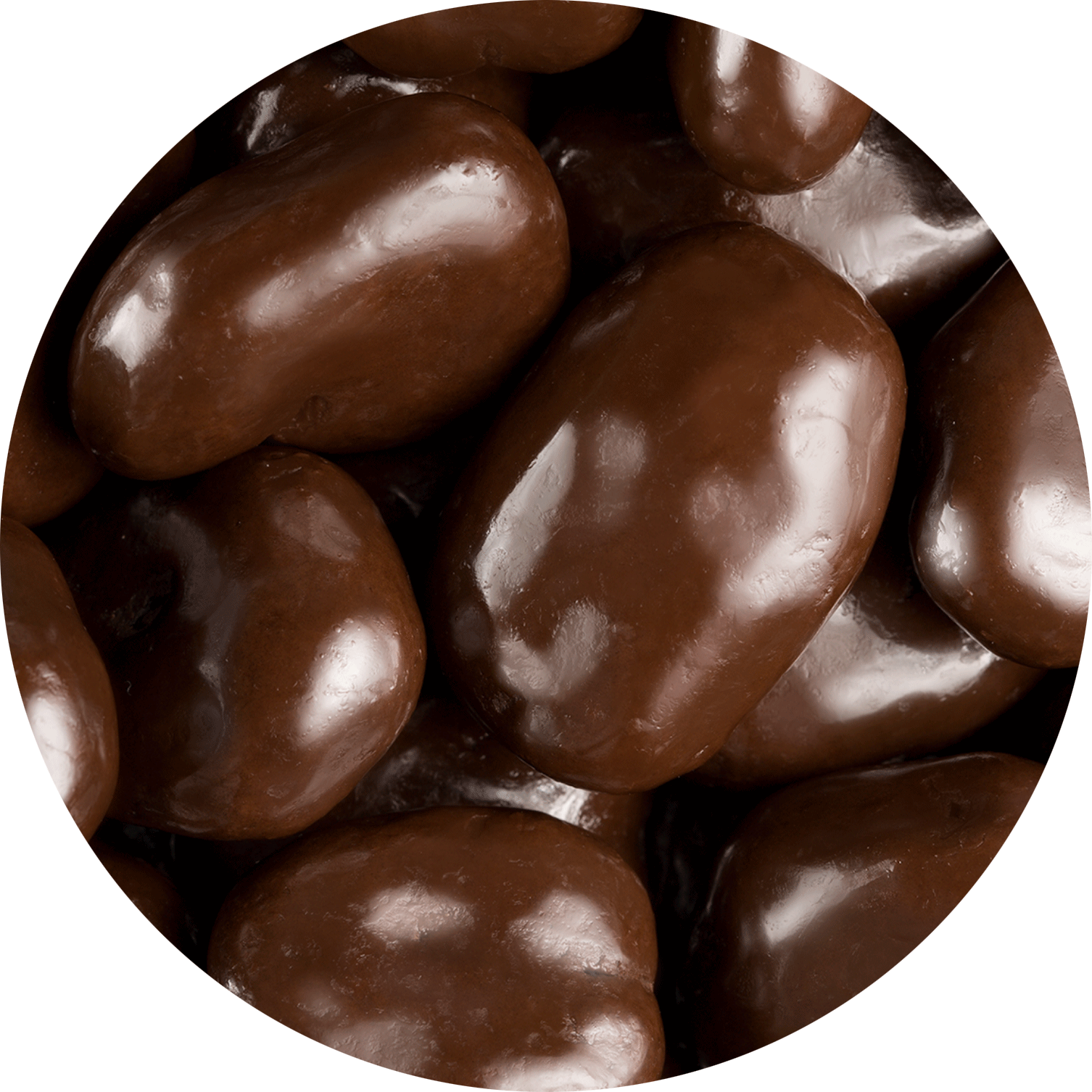 Dark Chocolate Pecans | Chocolate Covered Pecans | Albanese Candy