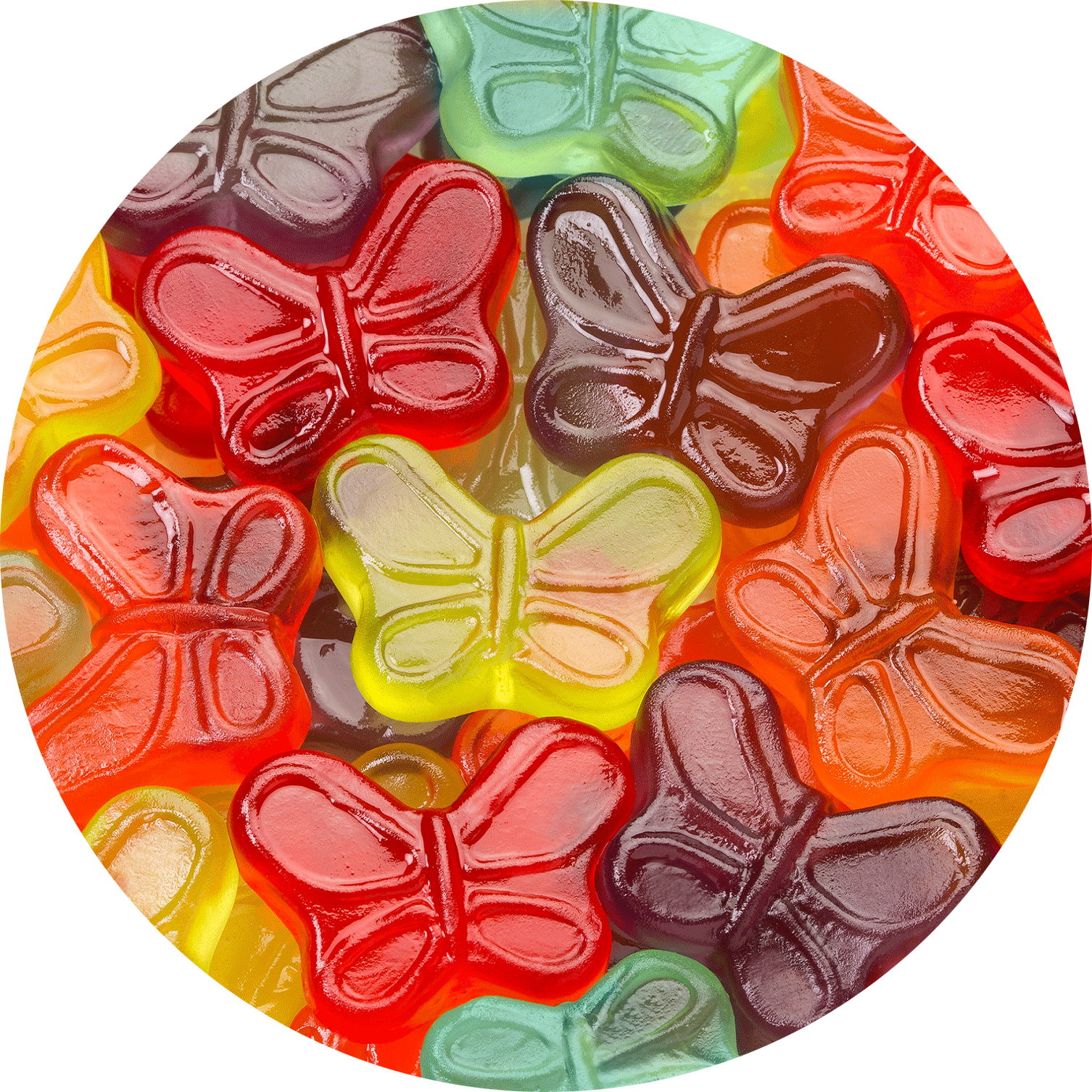Mini Gummi Butterflies | Butterfly Gummy Candy | Albanese Candy