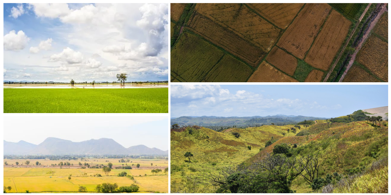 Self Build - How to buy & build on UK land - UK Experts - YARD Direct