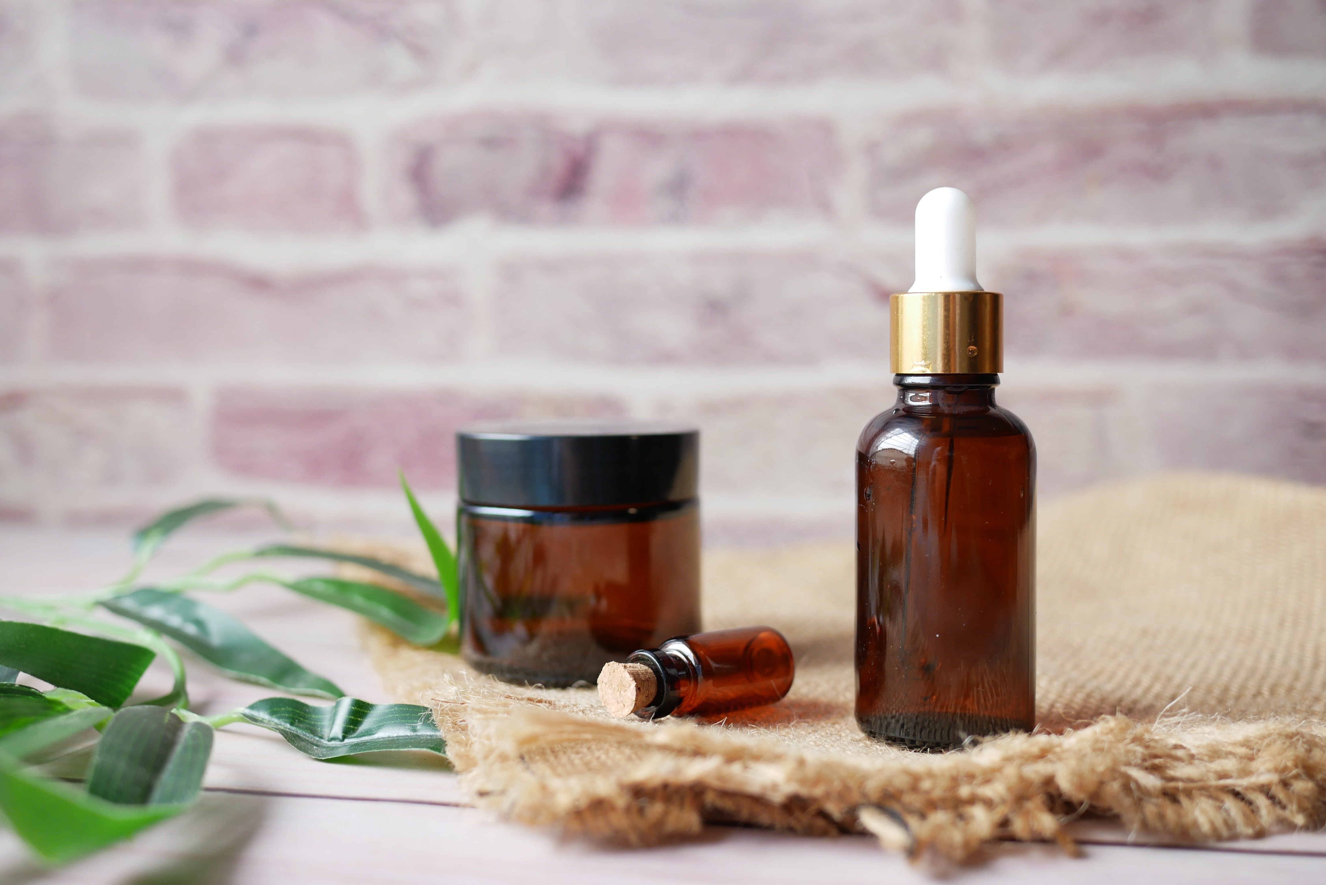 Uses and Applications of Terpenes: From Therapy, Treatment and ...