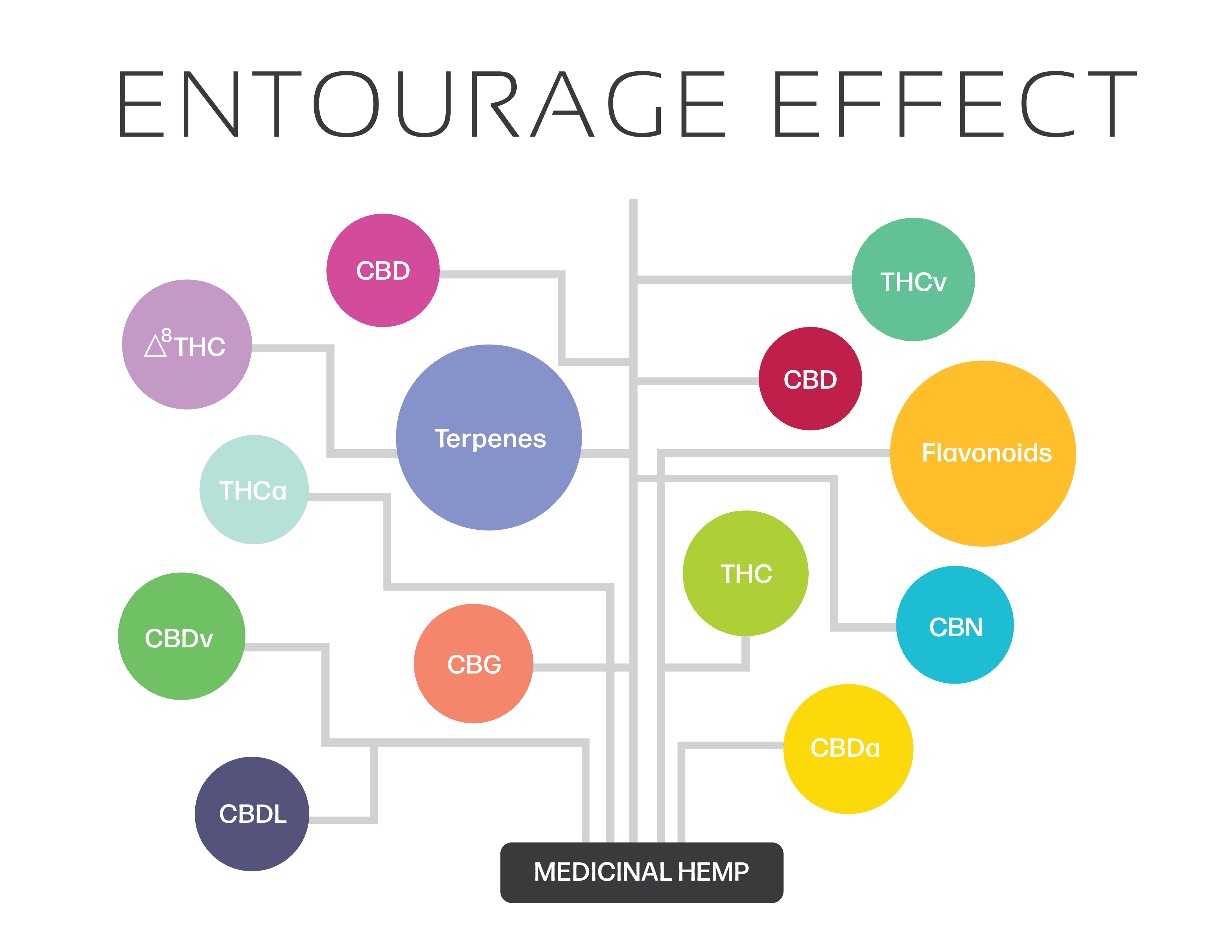 New Research Exploring the Entourage Effect ⚕️ - Terpene Lab
