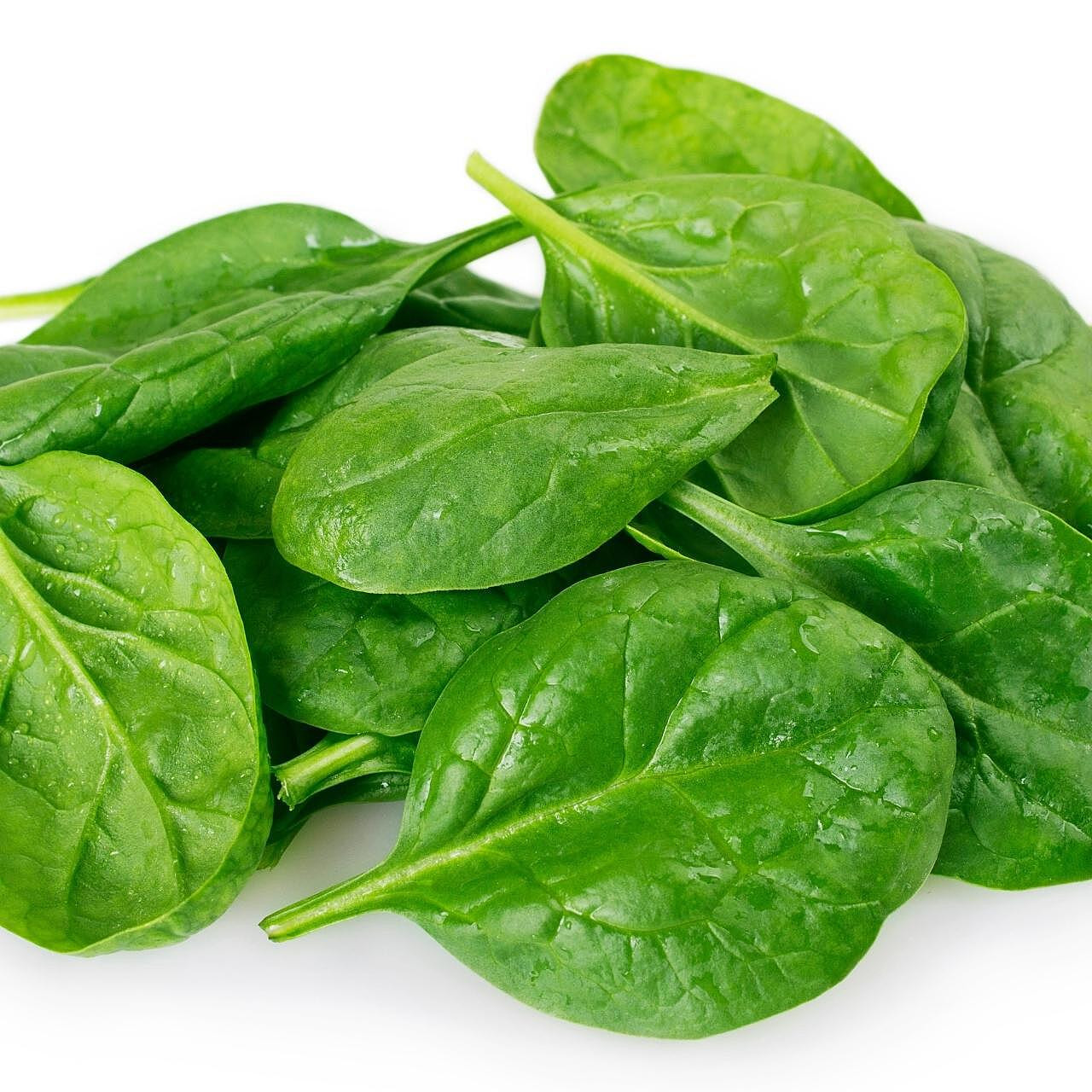 SPI004 | Stemless Spinach (4/2.5#) - Pacific Coast Fresh Co.