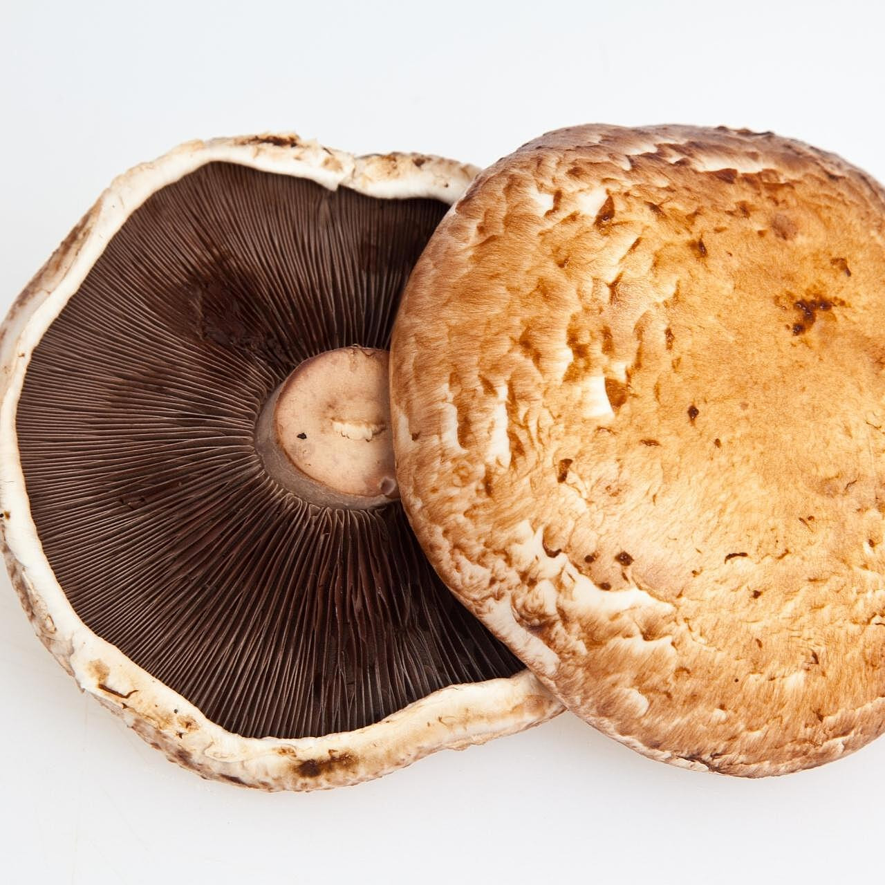 MUSPOR01# | 5/8" Portabella Mushroom (1#) - Pacific Coast Fresh Co.