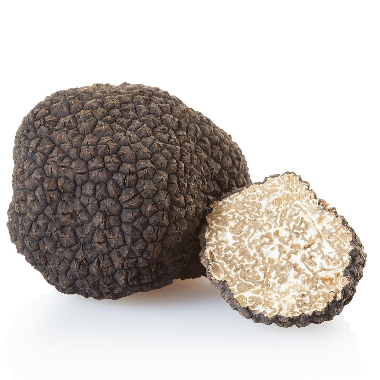 MUSTRU.25BLA | Black Truffle Mushroom (0.25#) - Pacific Coast Fresh Co.