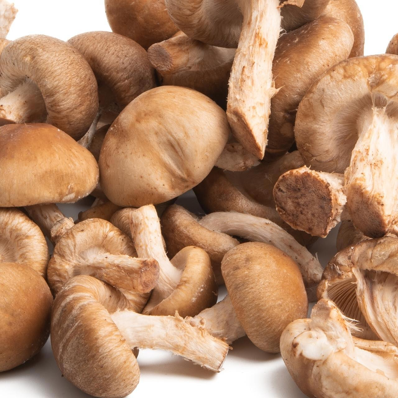 MUSSHI05#BAB | Baby Shiitake Mushroom (5#) - Pacific Coast Fresh Co.