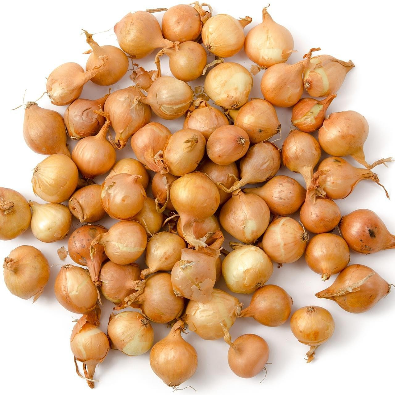 ONIPEA012B | Pearl Yellow Onion (12/10OZ BG) - Pacific Coast Fresh Co.