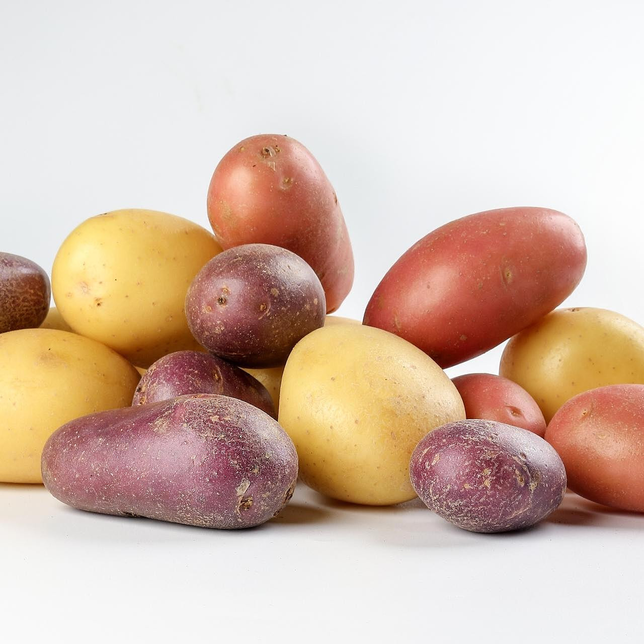 POTMED012OR | Organic Sunrise Medley Potato (12/1.5#) - Pacific Coast ...