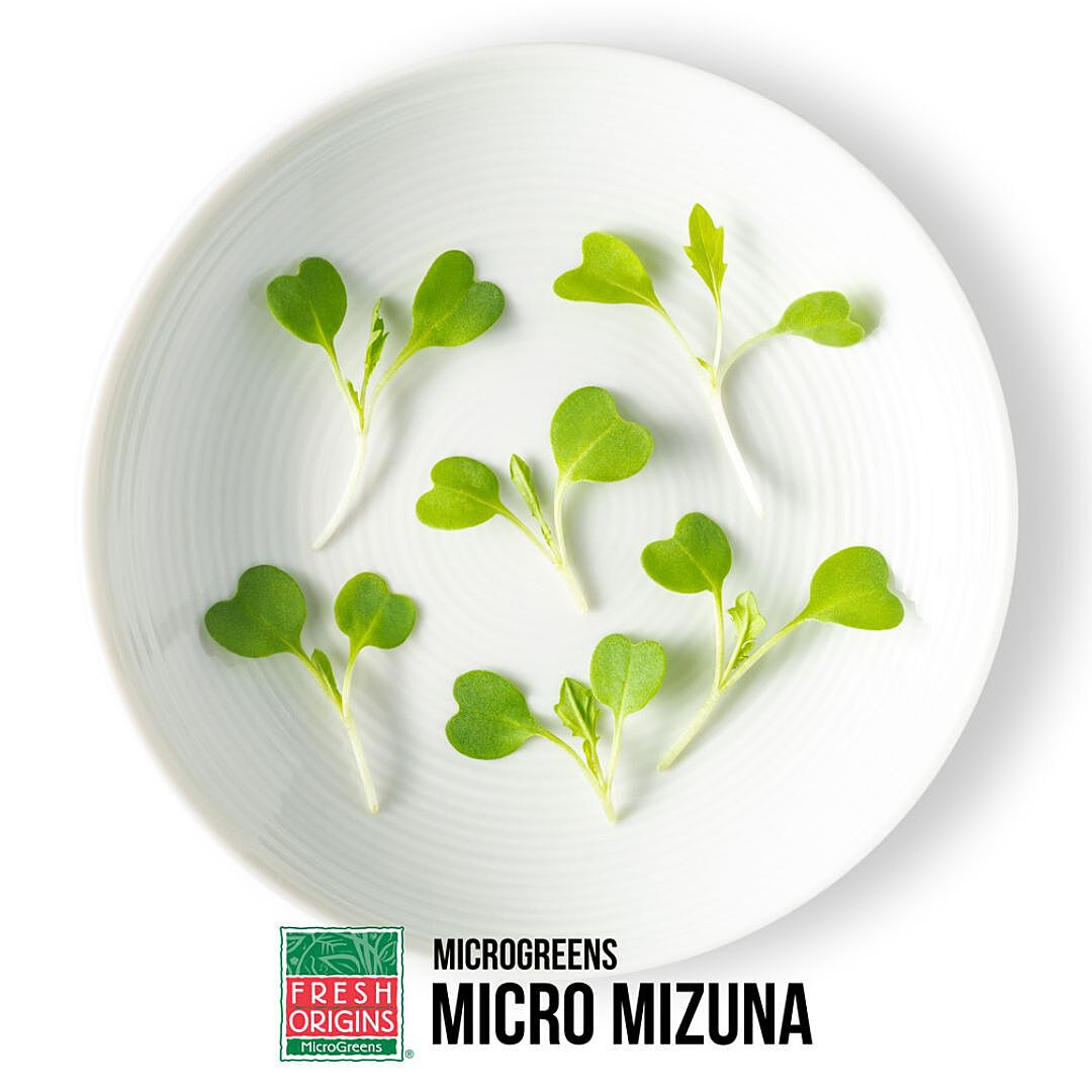 MICMIZ04Z | Micro Green Mizuna (4OZ) - Pacific Coast Fresh Co.